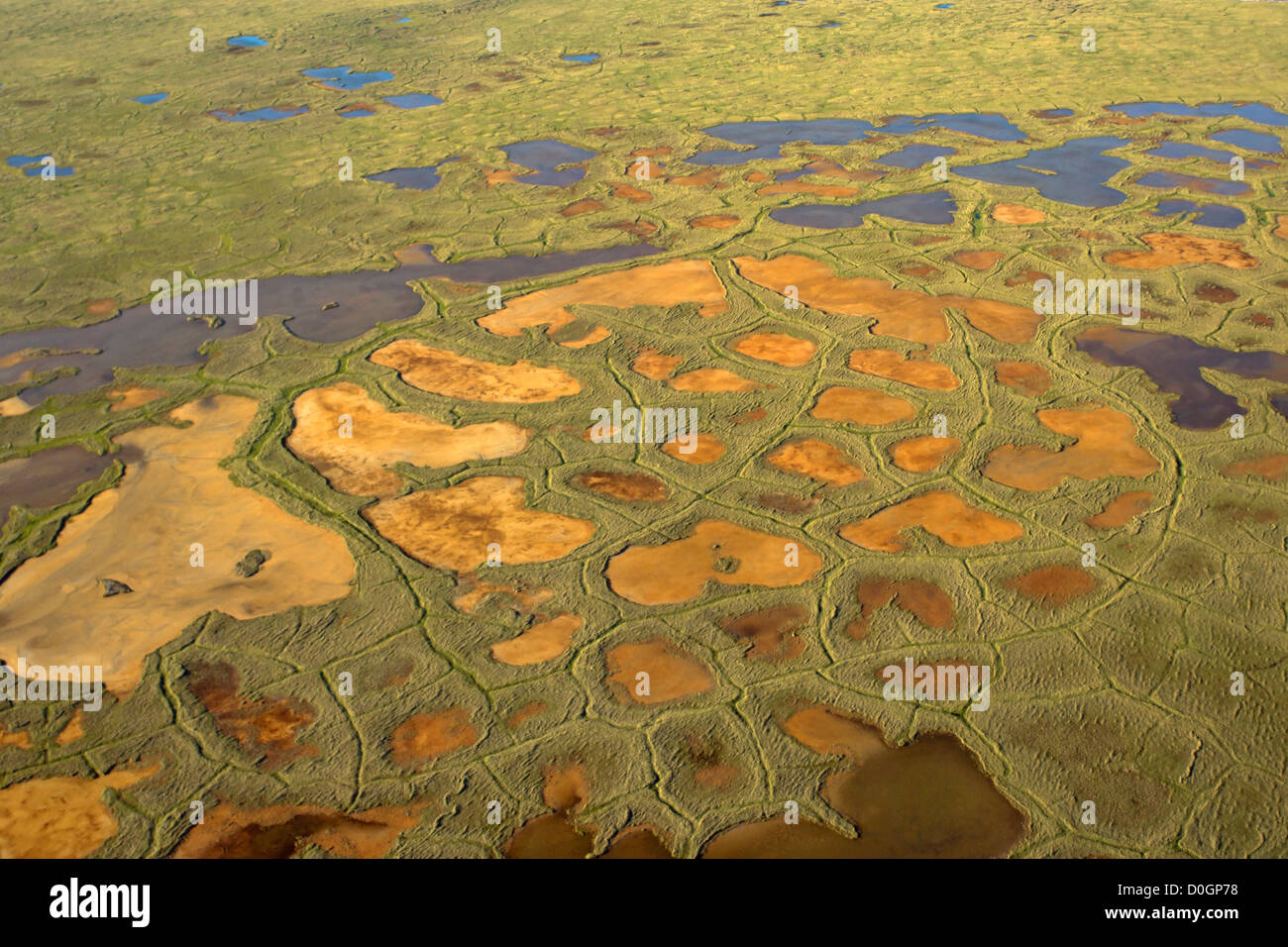 Tundra polygon hi-res stock photography and images - Alamy