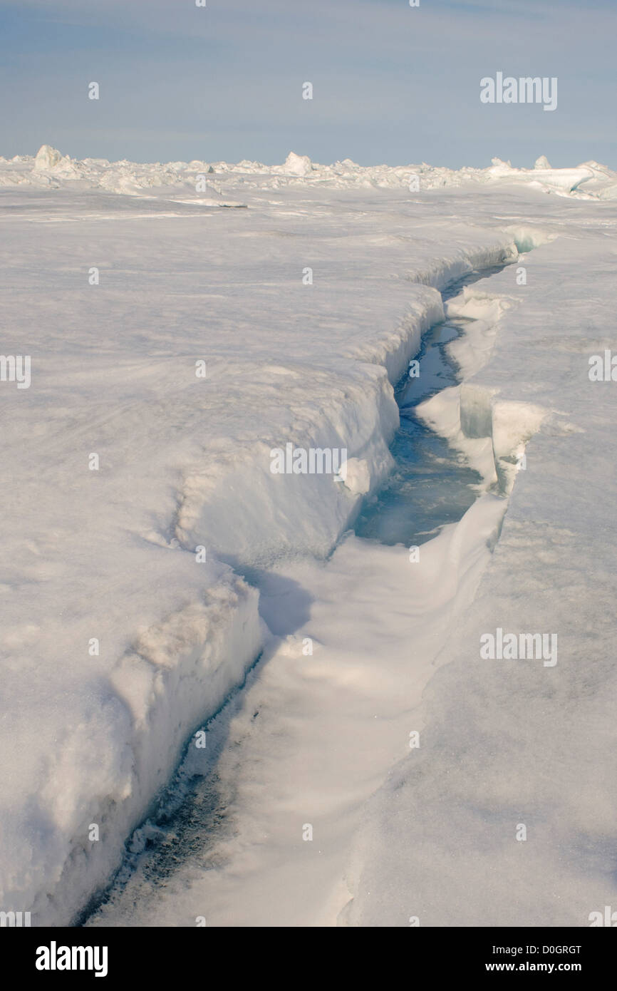 Lead in hi-res stock photography and images - Alamy