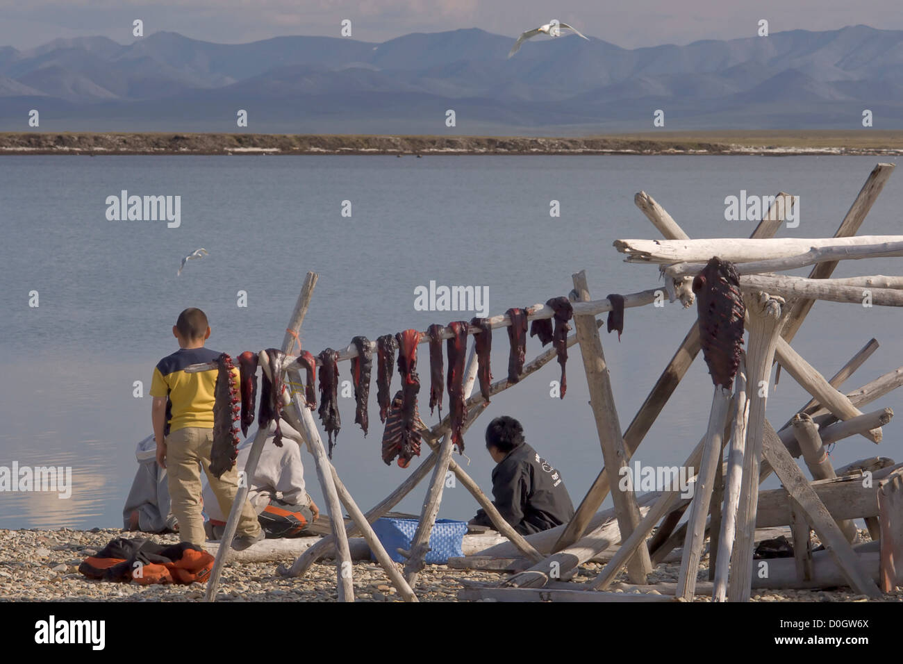 Alaska Inupiat Eskimo Hunter High Resolution Stock Photography and ...