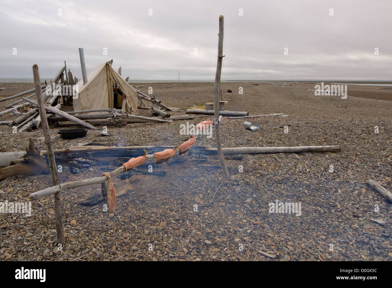 Inupiaq Man Drying Fish along the Arctic Coast of Alaska Stock Photo ...