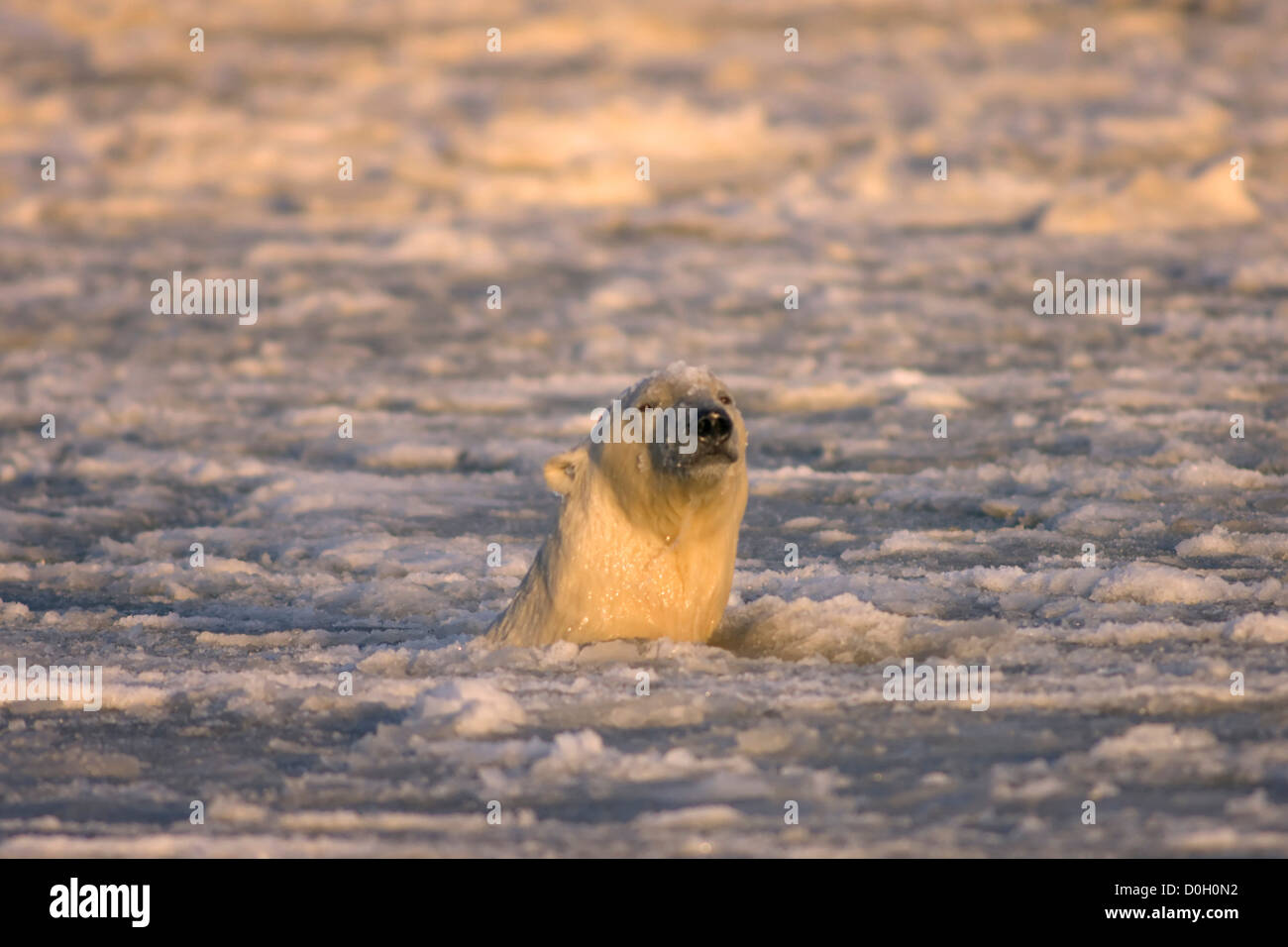 Slushy area hi-res stock photography and images - Alamy