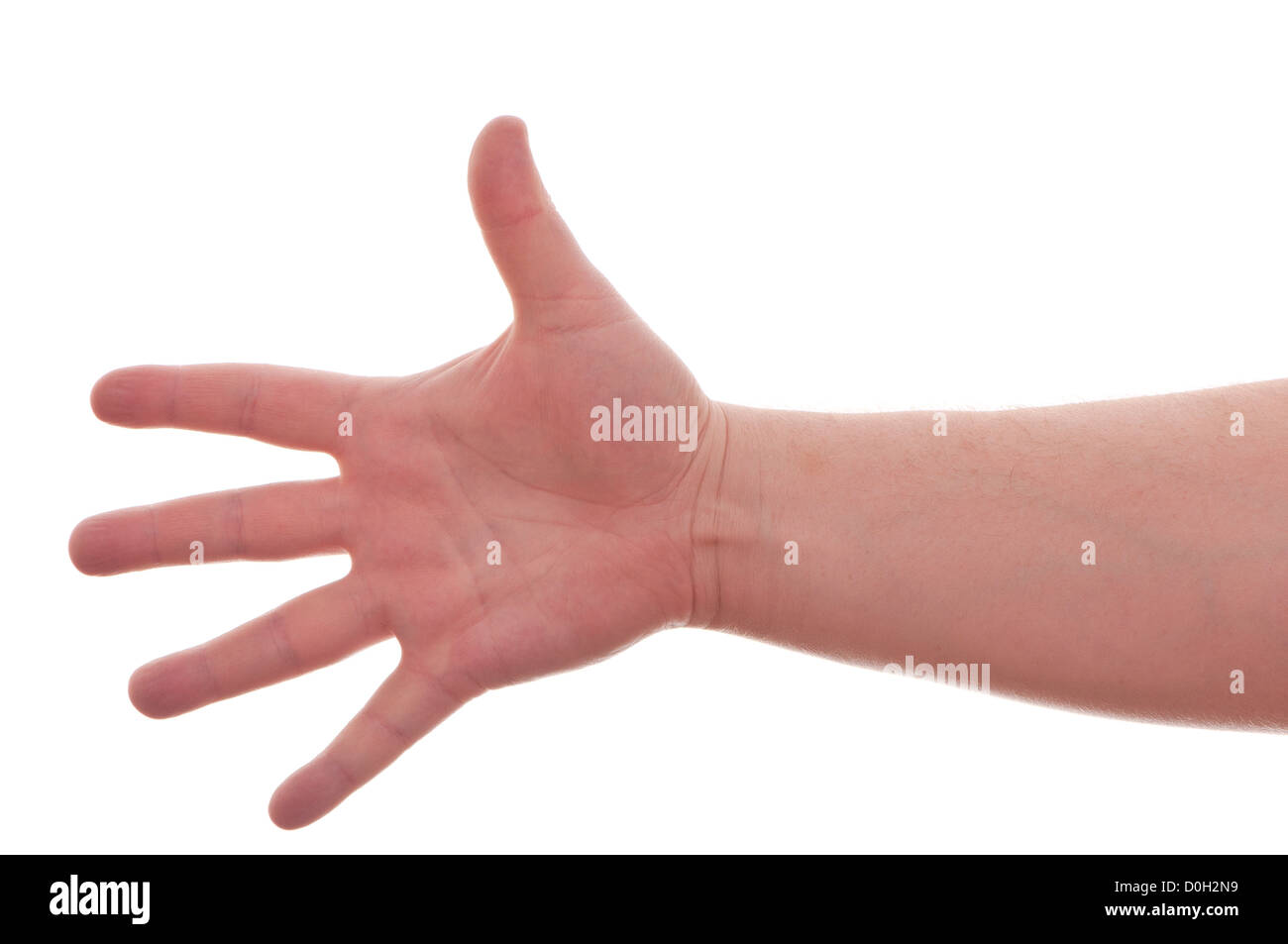 open hand on white background Stock Photo - Alamy