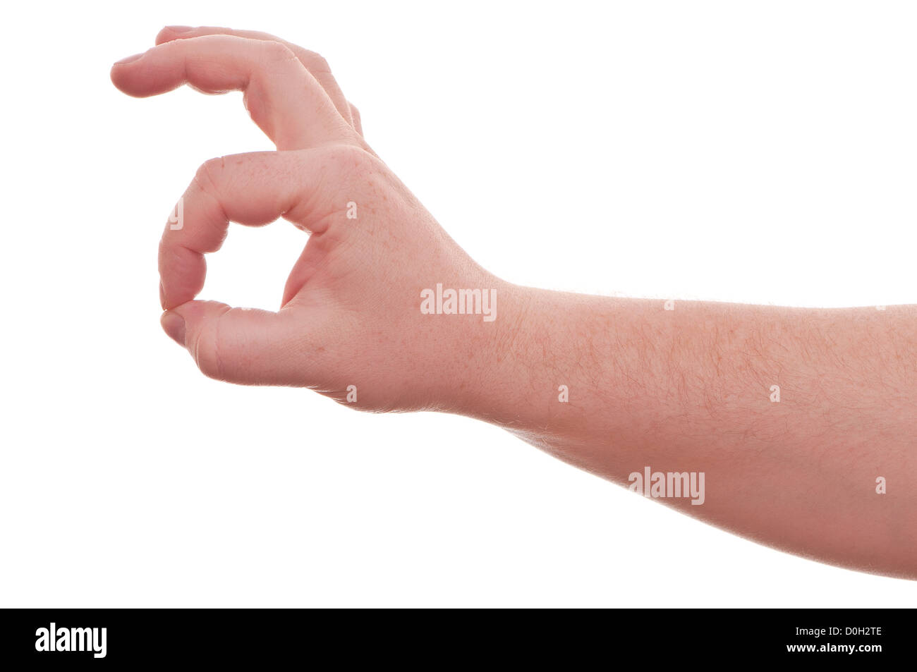 hand on white background - perfect Stock Photo - Alamy
