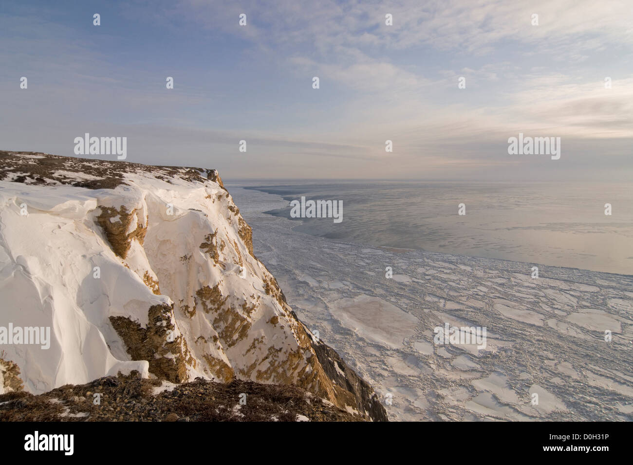 Thompson wildlife hi-res stock photography and images - Alamy