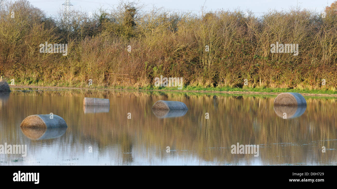 Hay bails with reflection in flooded field Stock Photo - Alamy