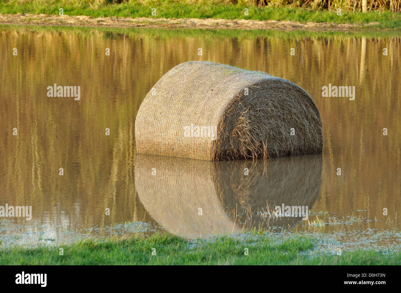 Hay bail pool hi-res stock photography and images - Alamy