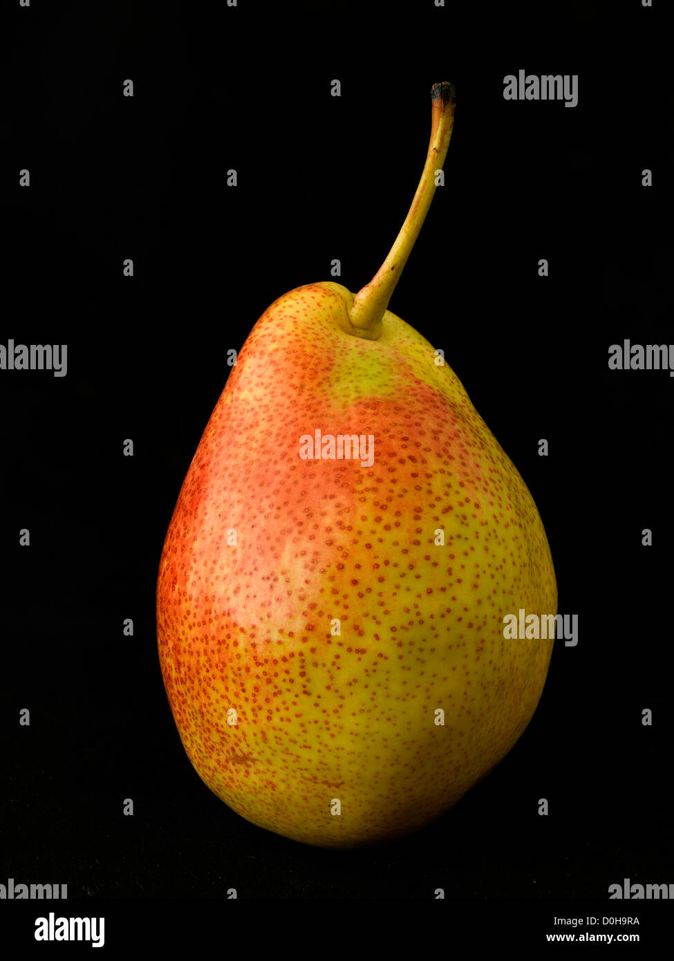 A portrait of a pear Stock Photo - Alamy