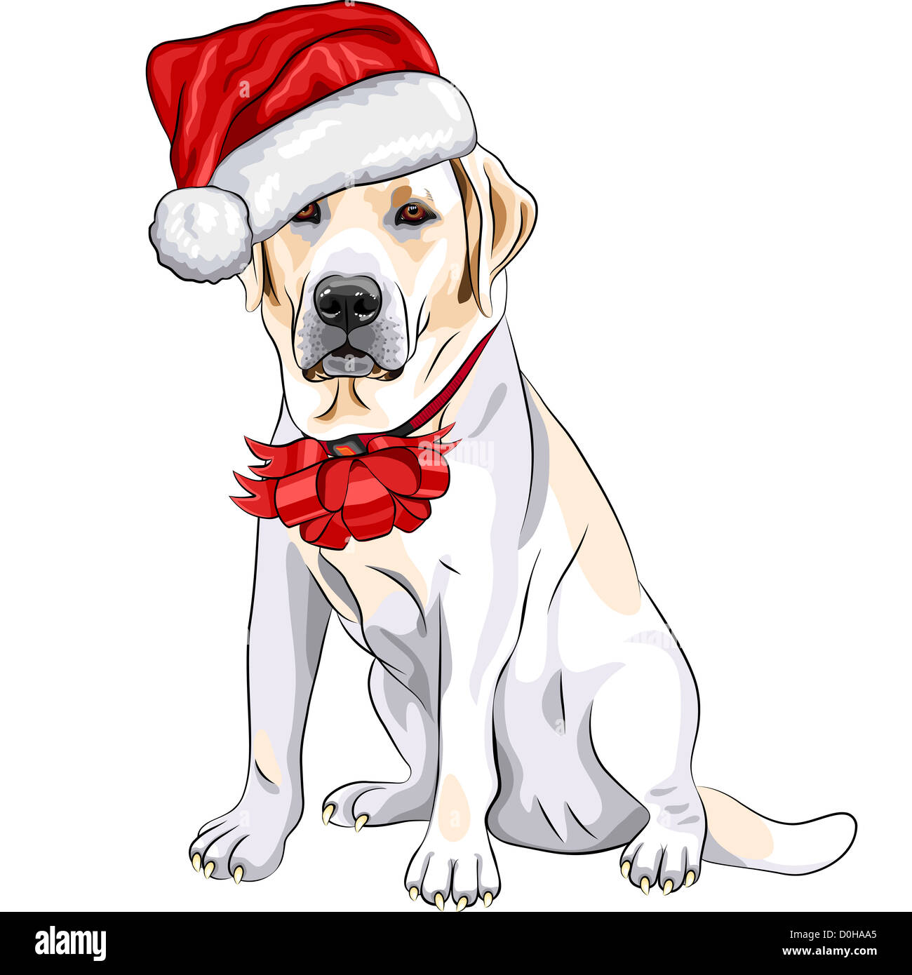 color sketch of the puppy dog Labrador Retriever breed in the red hat ...