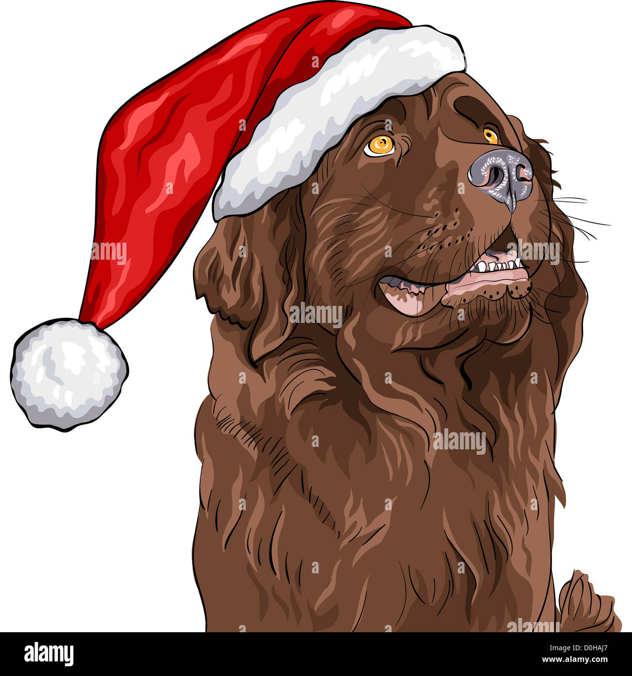 closeup portrait of a dog Newfoundland in a Christmas hat of Santa ...
