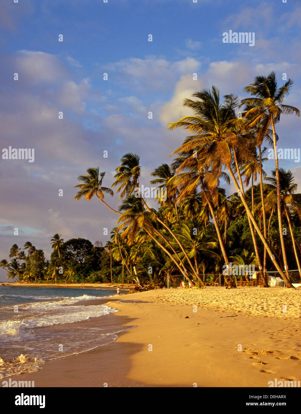 Caribbean, Barbados, St Peter, Kings Beach Stock Photo - Alamy