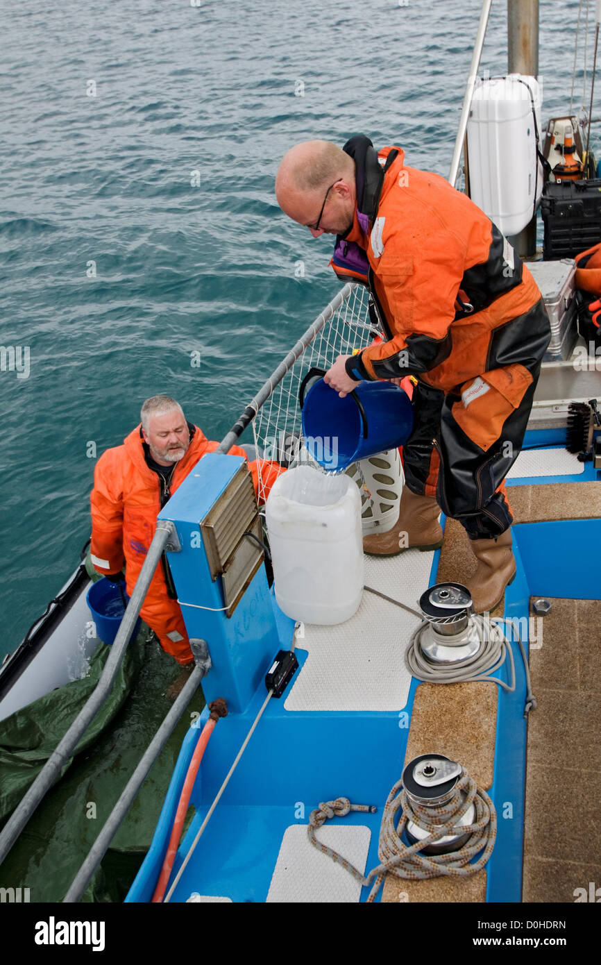 Transferring Water High Resolution Stock Photography and Images - Alamy