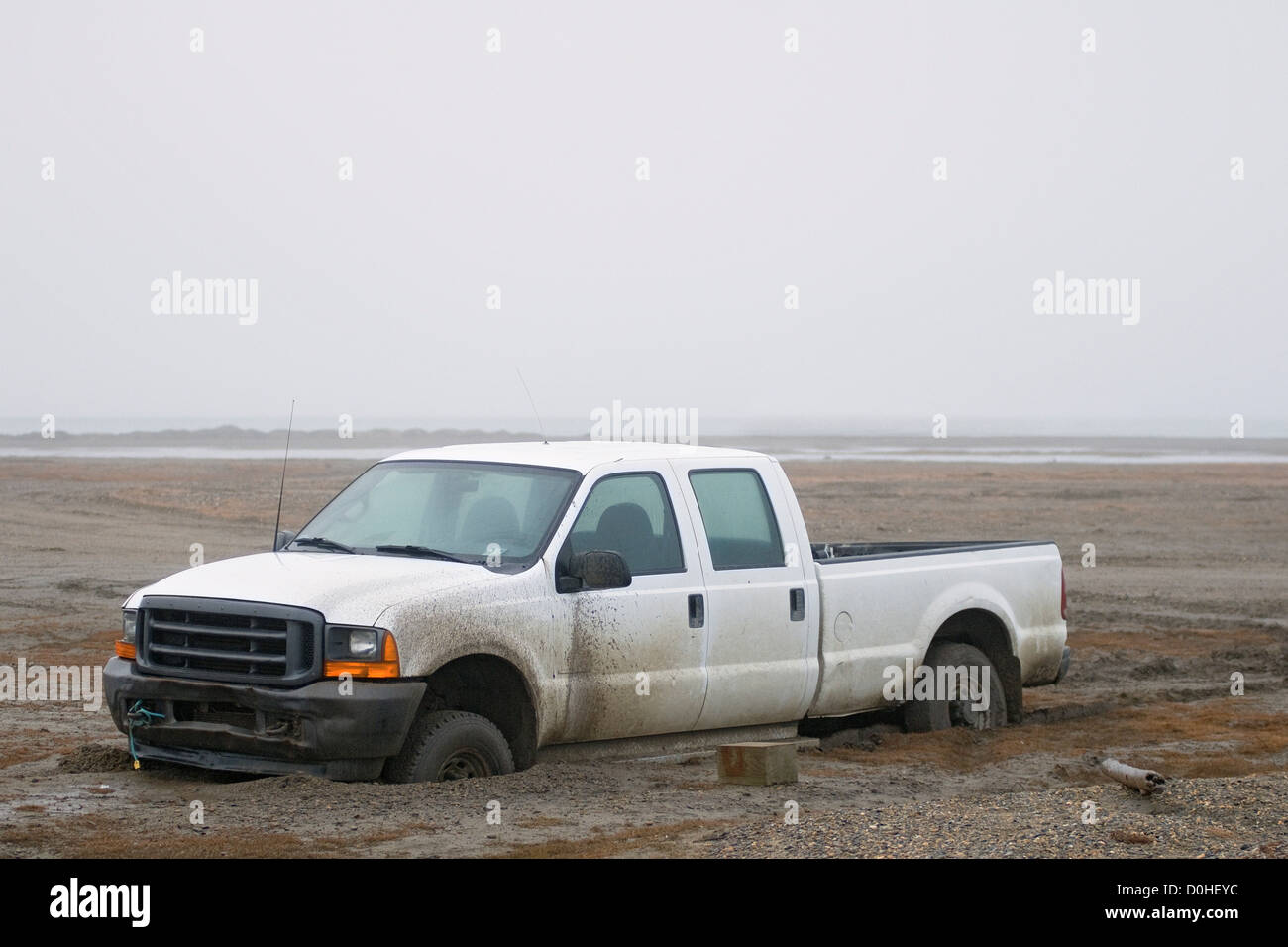 Ford Trucks Mudding