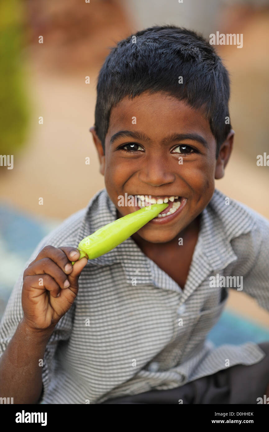Capsicum india hi-res stock photography and images - Alamy