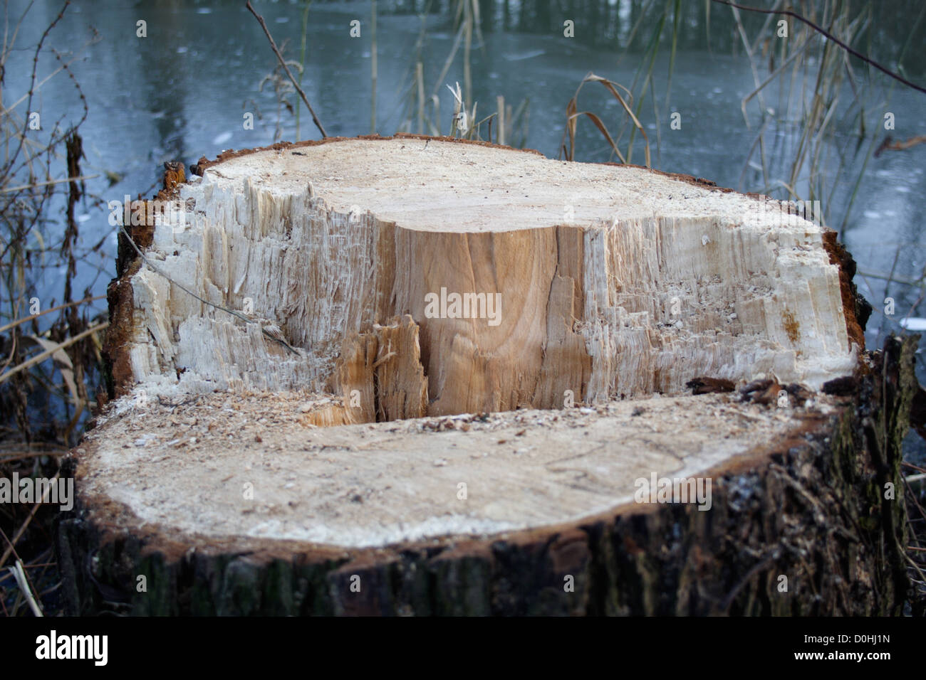 Truncate hi-res stock photography and images - Alamy