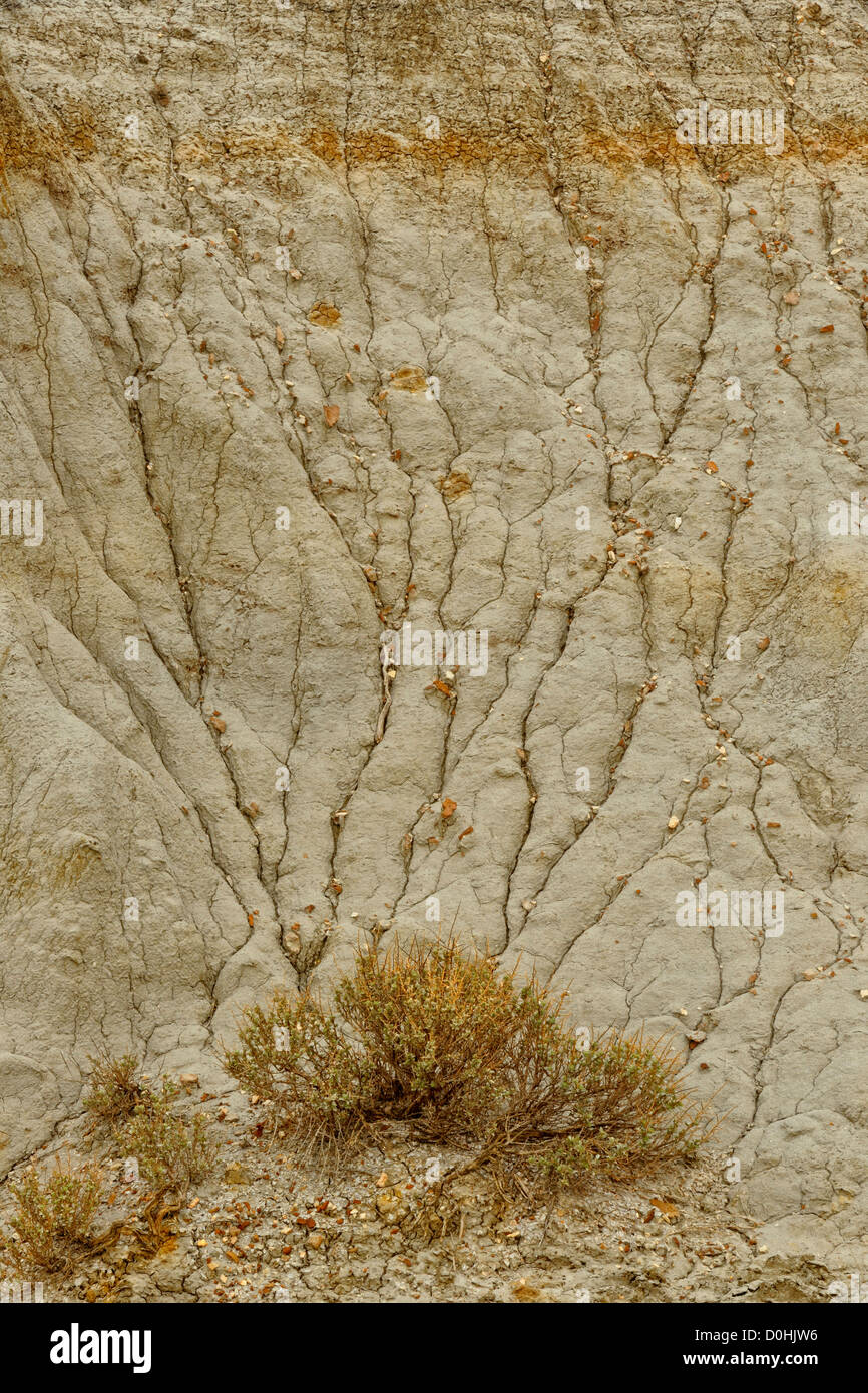 Bentonite bluffs with eroding mudstone layers, Theodore Roosevelt NP ...