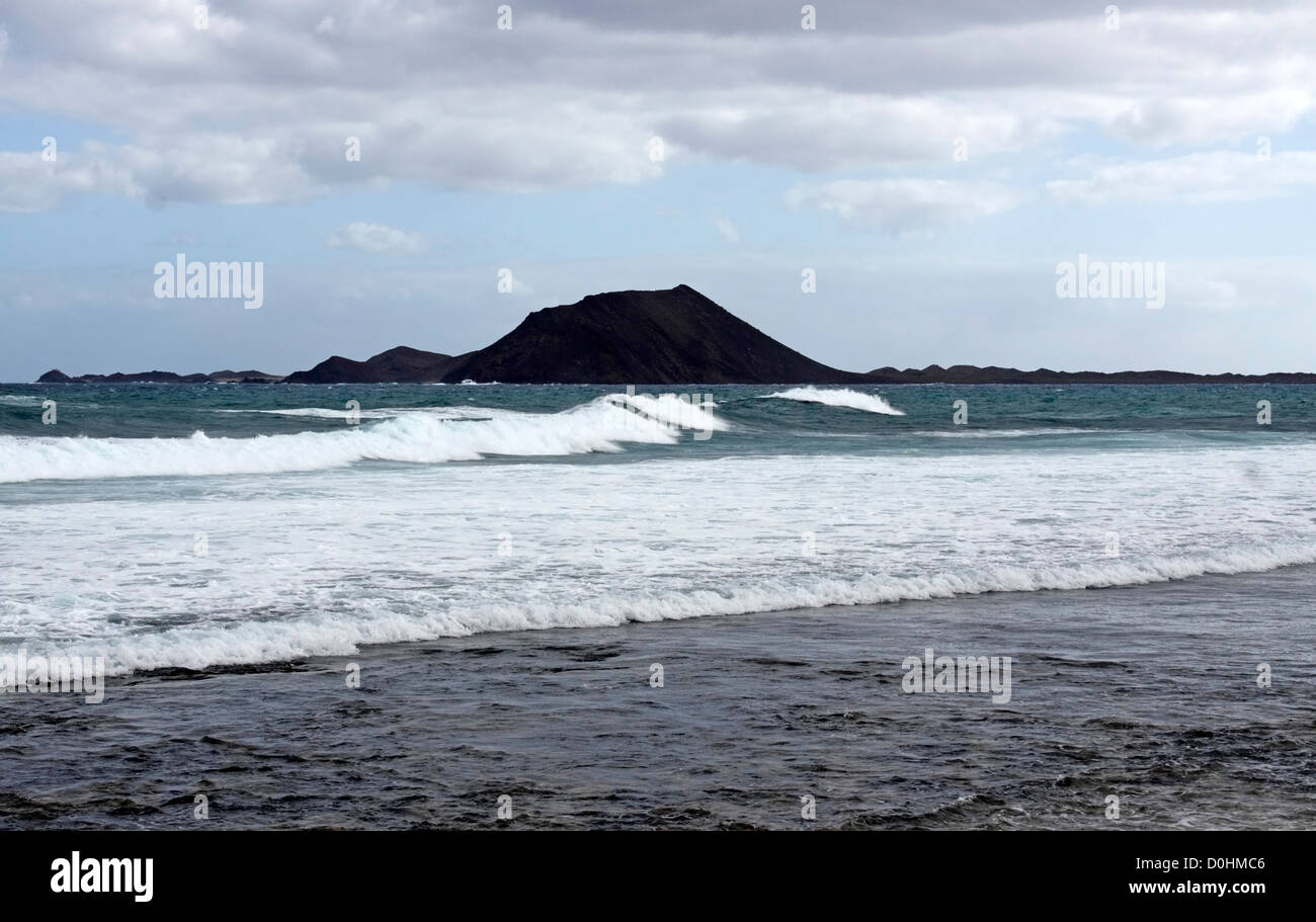 Los Lobos High Resolution Stock Photography and Images - Alamy