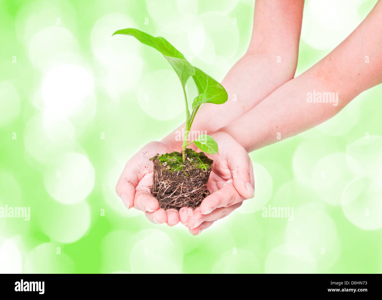 Growing green plant in a hand isolated on white background Stock Photo ...