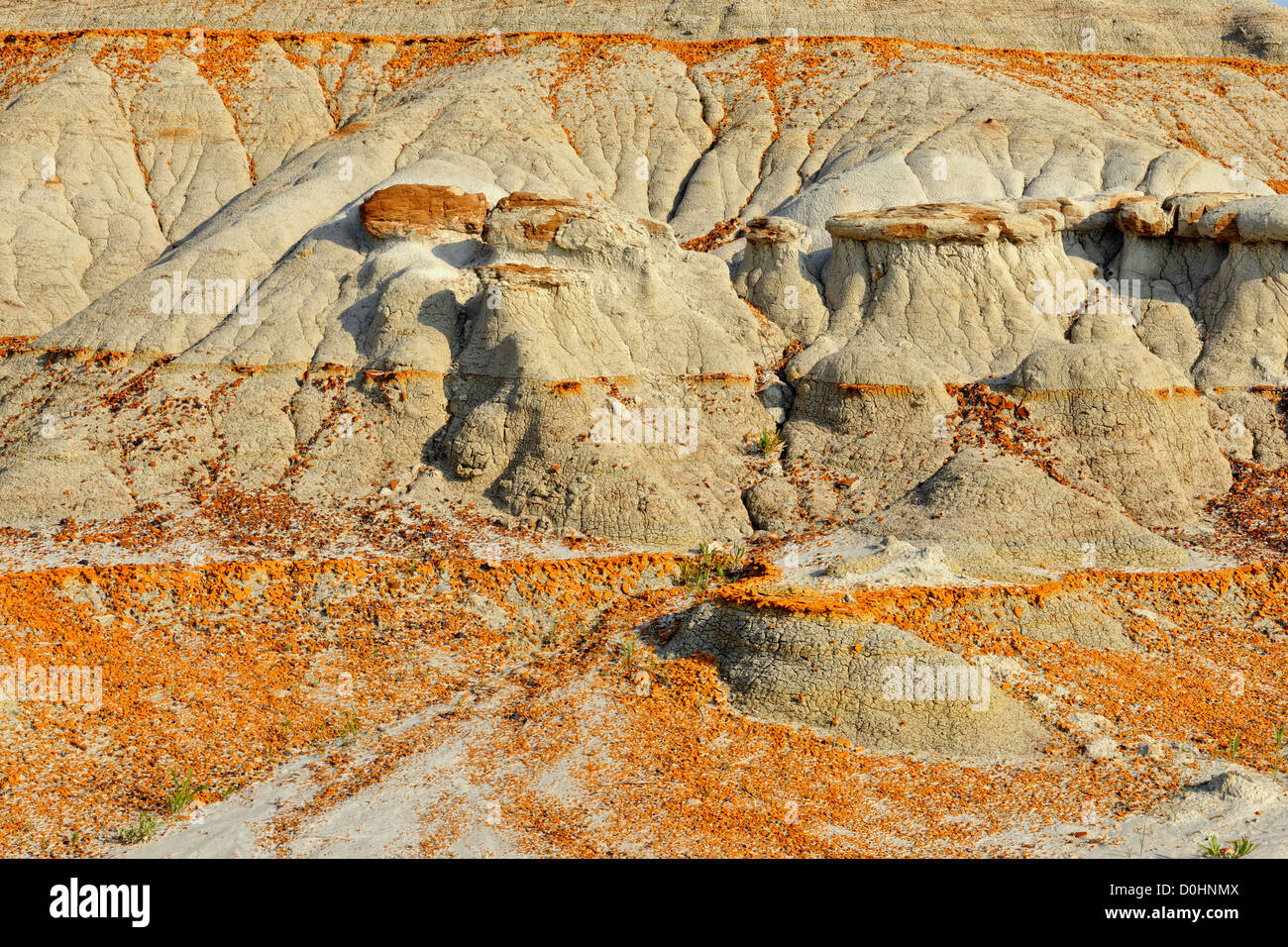 Erosion rills hi-res stock photography and images - Alamy Erosion rills hi-res stock photography and images - Alamy