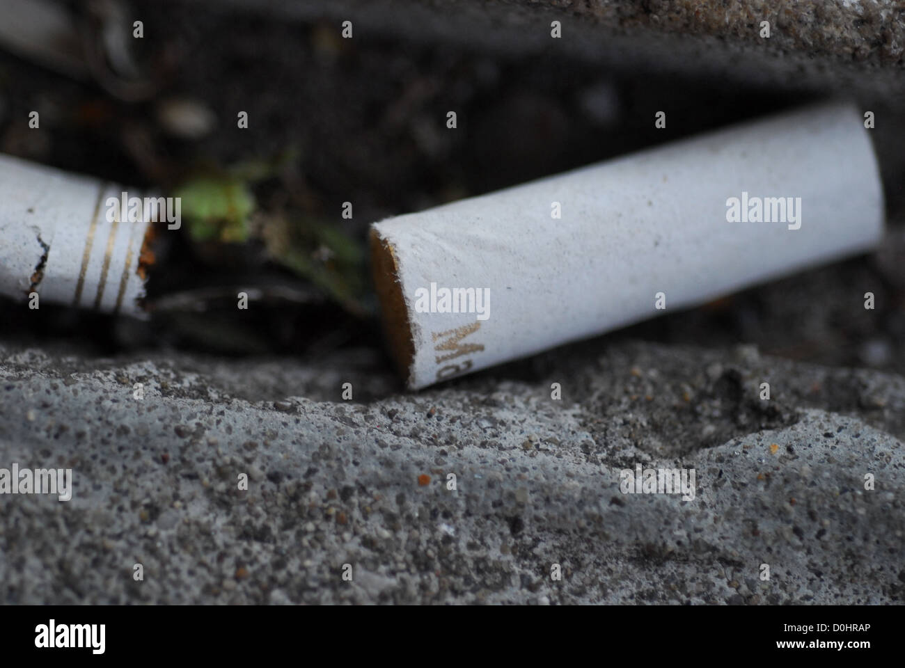 Discarded cigarettes in the street Stock Photo - Alamy