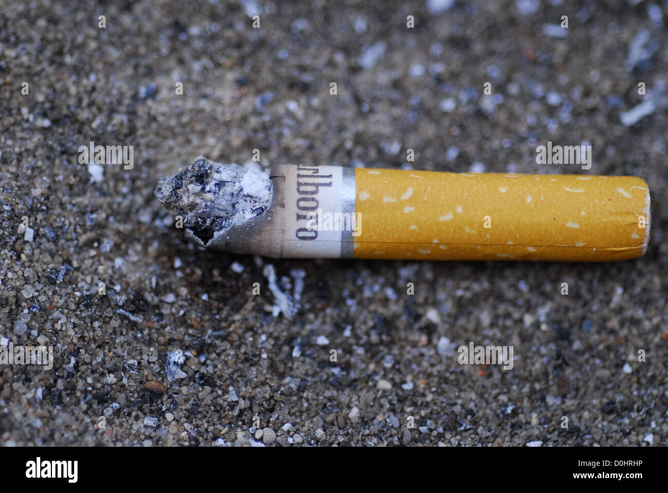 Discarded cigarettes in the street Stock Photo - Alamy