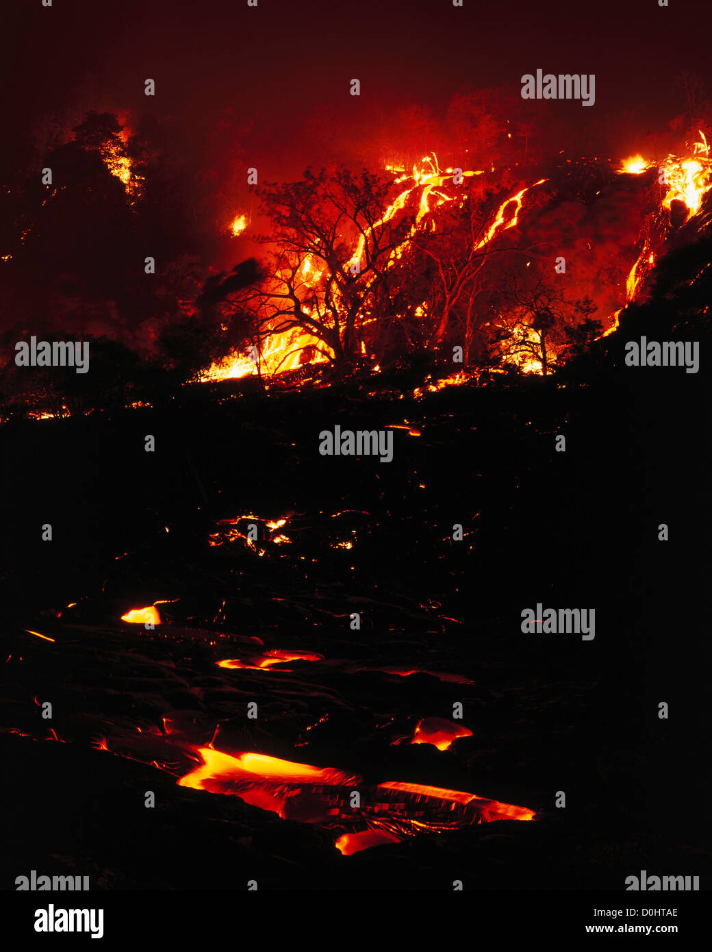 Molten lava flowing tree hi-res stock photography and images - Alamy