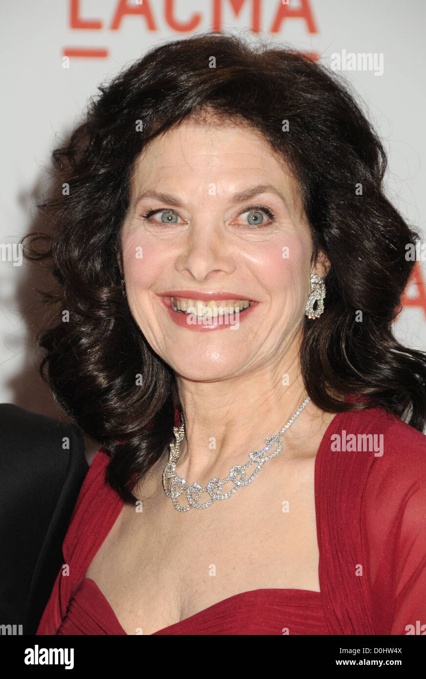 Guest Opening Gala and unmasking of the Resnick Pavilion LACMA (the Los ...