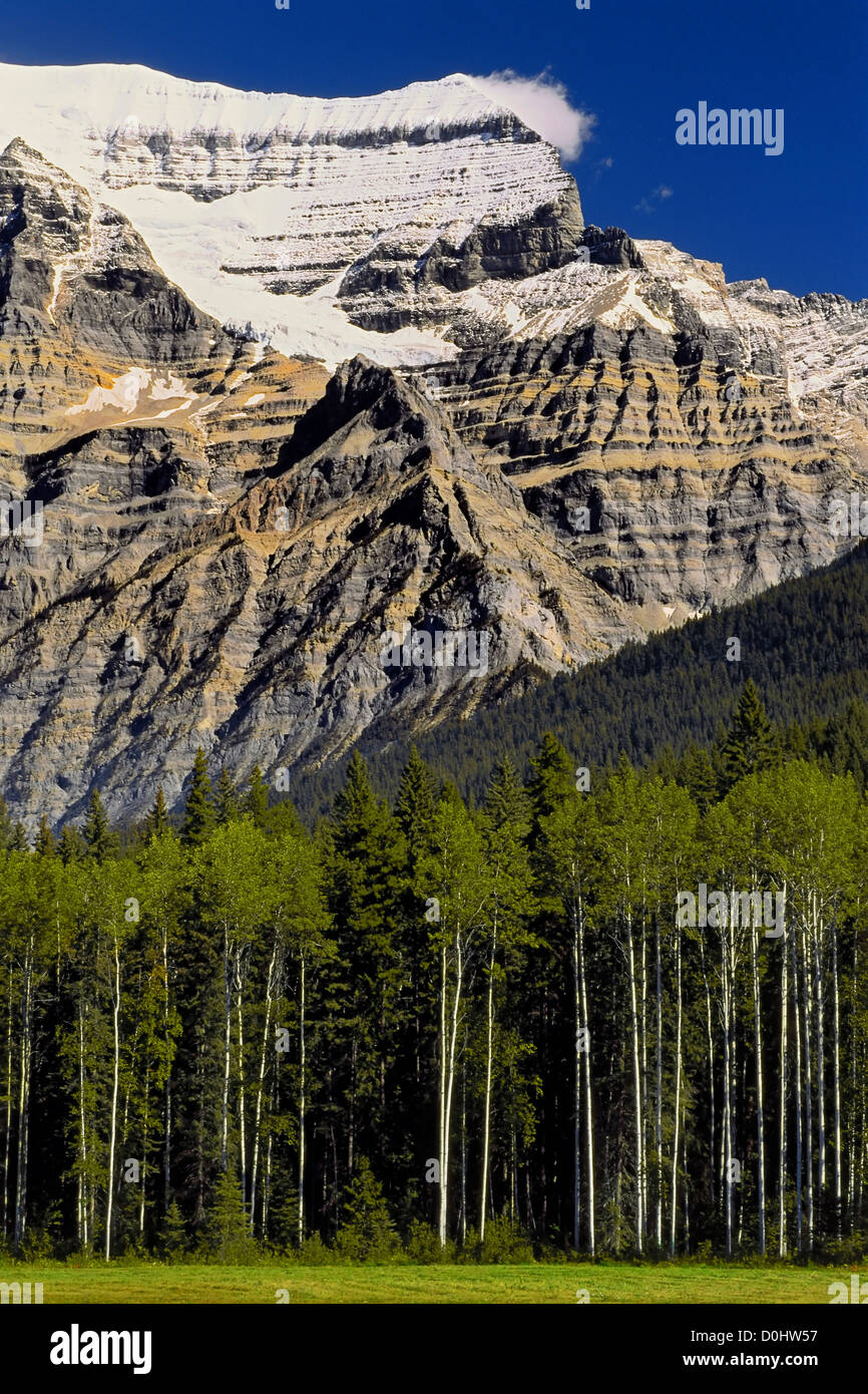 Mount Robson in Summer, Canada Stock Photo - Alamy