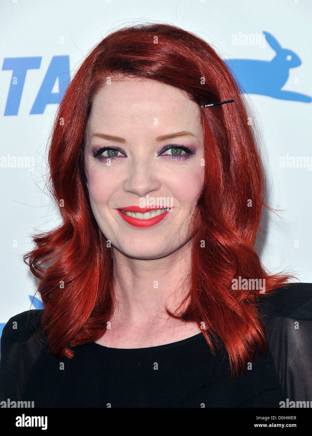 Shirley Manson PETA's 30th Anniversary Gala and Humanitarian Awards ...