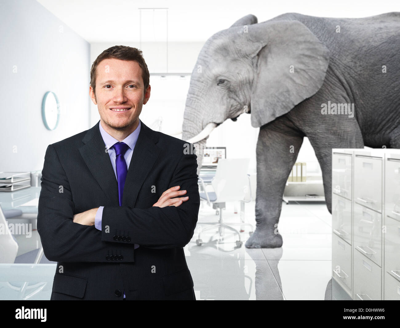 smiling man and elephant in modern office Stock Photo - Alamy