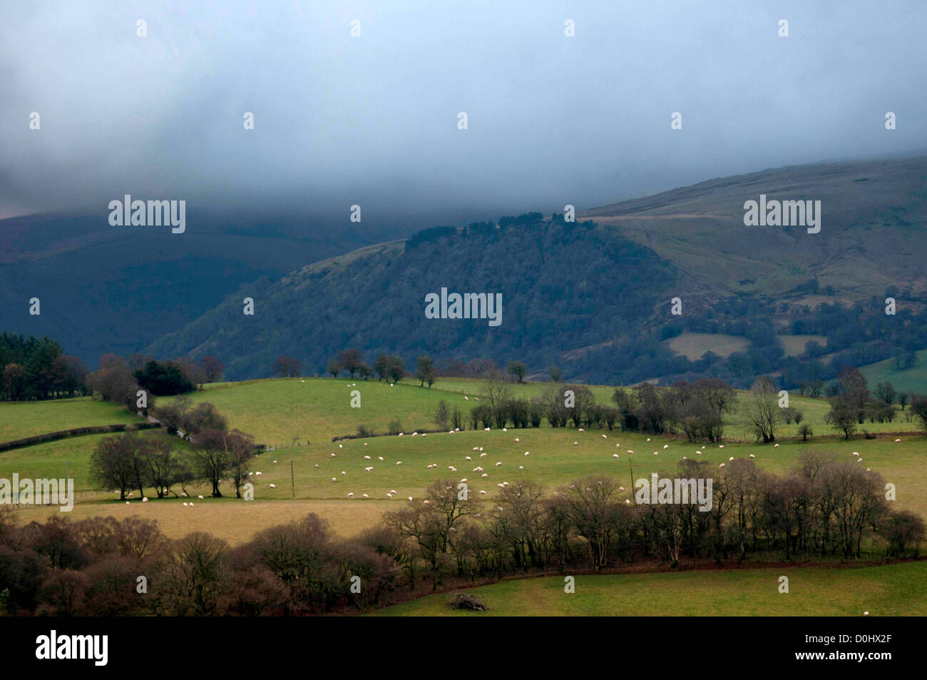 Sennybridge brecon beacons hi-res stock photography and images - Alamy