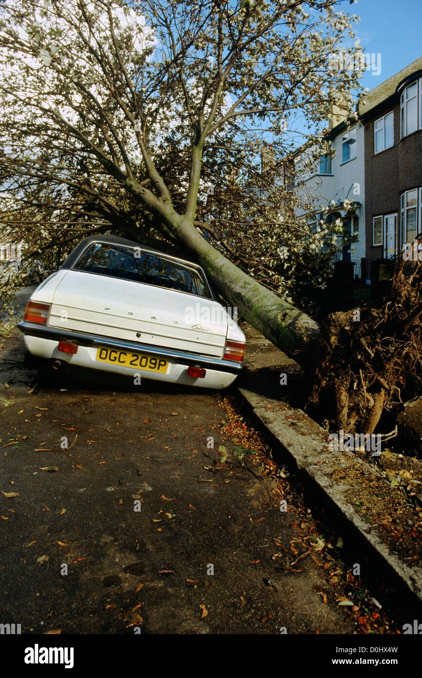1987 hurricane hi-res stock photography and images - Alamy