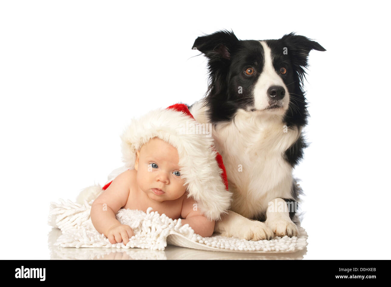 Baby with dog Stock Photo - Alamy