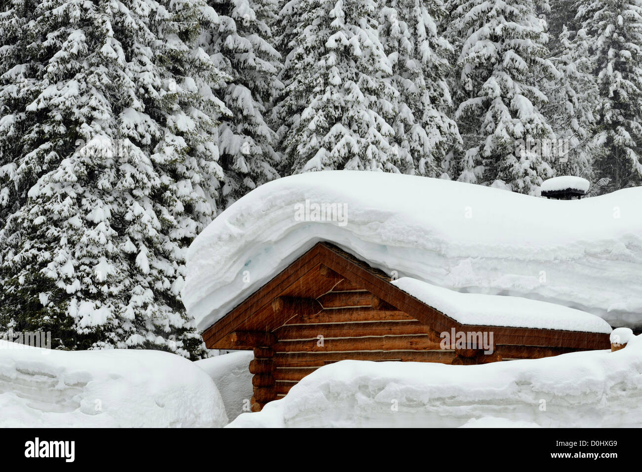 Lolo pass idaho hi-res stock photography and images - Alamy