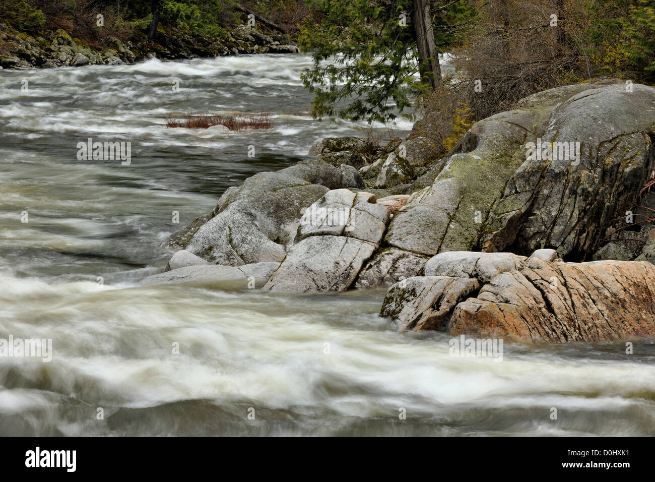 Lochsa river rapids hi-res stock photography and images - Alamy