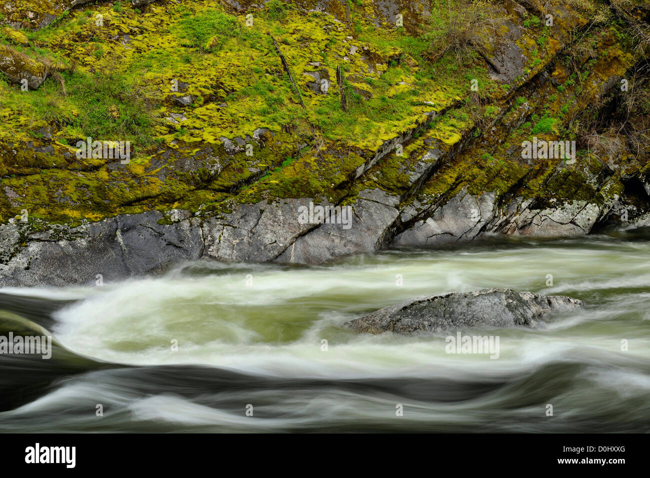 Lochsa River and moss-covered rocks, Clearwater National Forest, Idaho ...