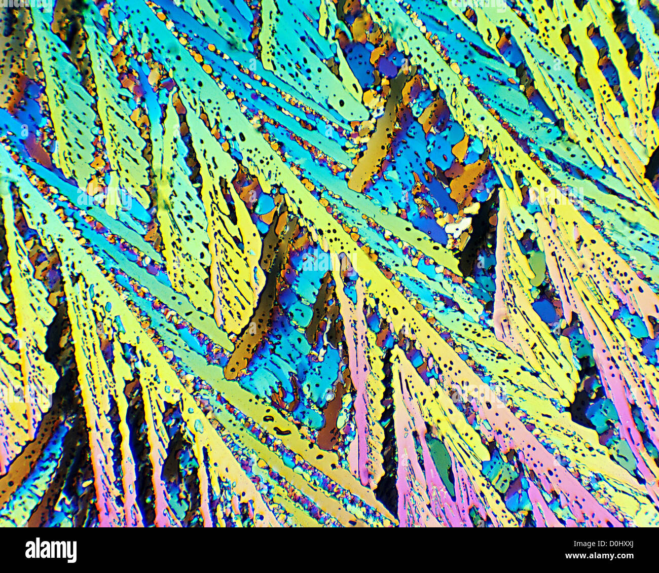Polarized light micrograph hi-res stock photography and images - Alamy