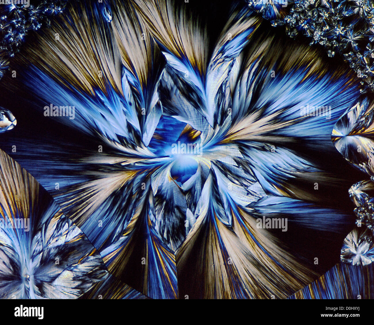 Dimedone, Crossed Polars, x200 Stock Photo - Alamy