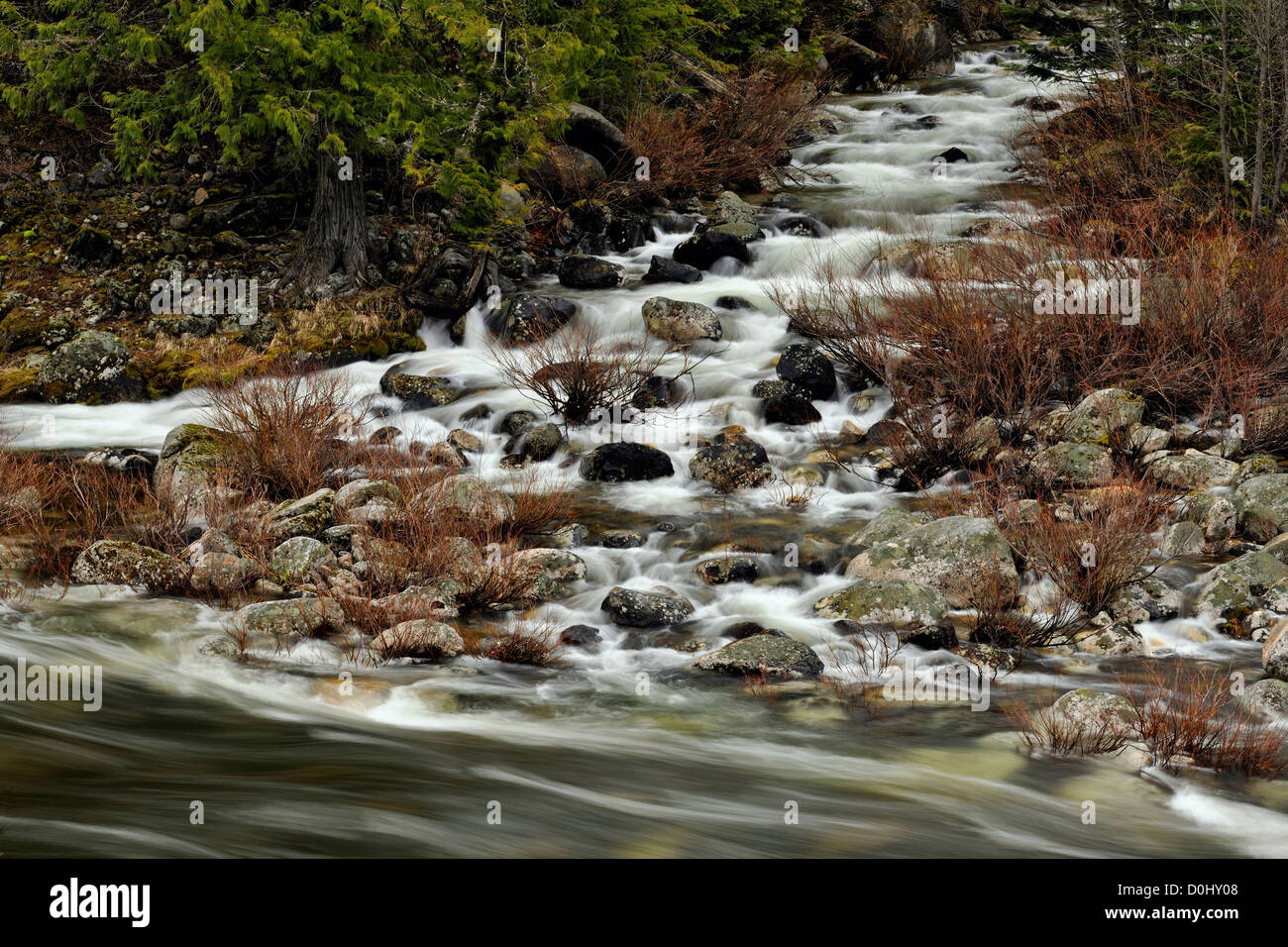 Stanley Creek entering the Lochsa River, Clearwater National Forest ...