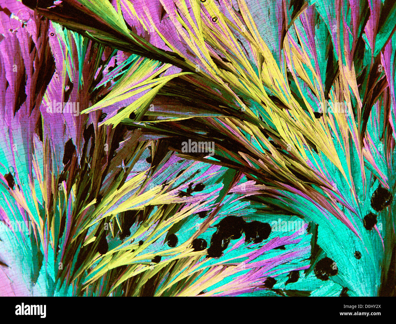 Aminophenol hi-res stock photography and images - Alamy