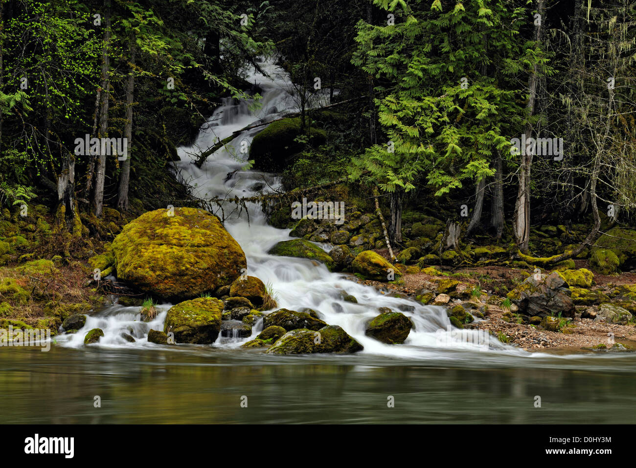 Lochsa river hi-res stock photography and images - Alamy