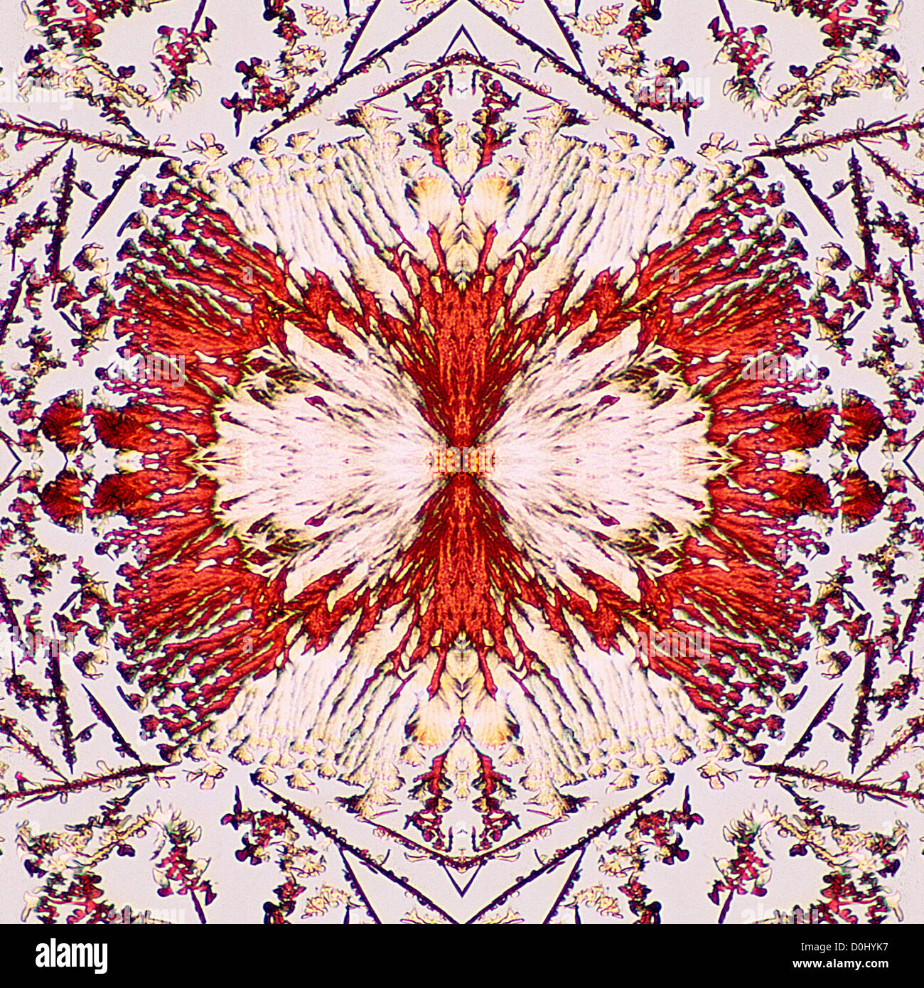 Pigment Intermediate GRP 71, Partly Crossed Polars, Image Combination ...