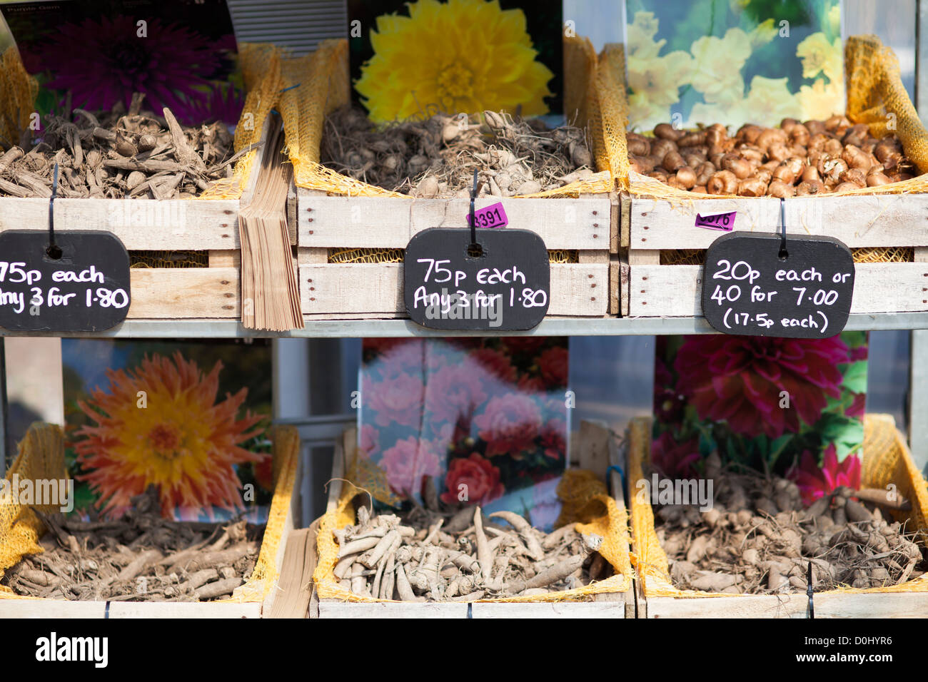 Multiple trays hi-res stock photography and images - Alamy