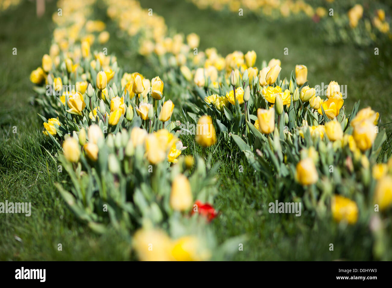 Farrington hi-res stock photography and images - Alamy