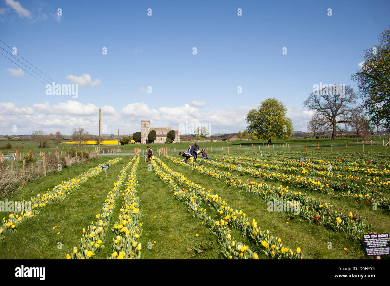 Farrington hi-res stock photography and images - Alamy