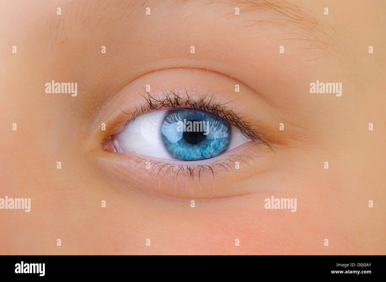 Eye - blue Stock Photo - Alamy