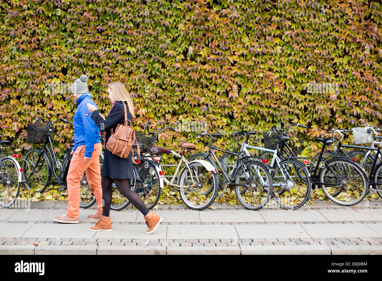 Two people walk past bikes leaning up against a wall of leaves in ...