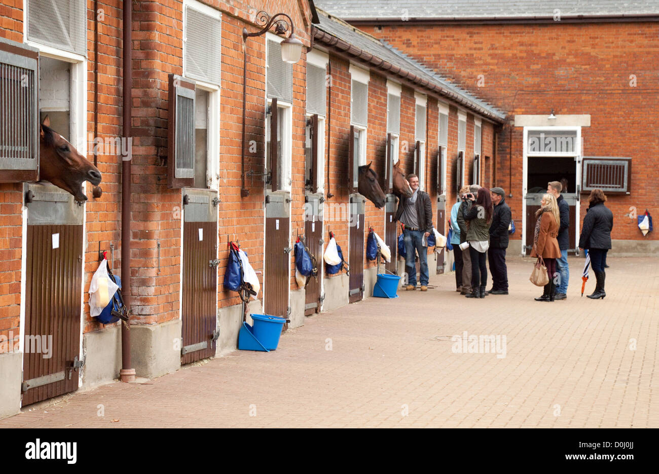 Racehorse stables hi-res stock photography and images - Alamy