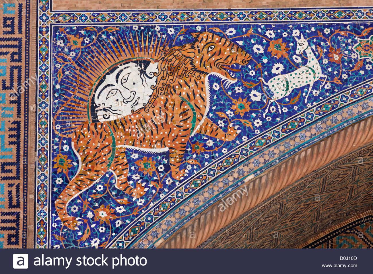 Lion Tiger High Resolution Stock Photography and Images - Alamy