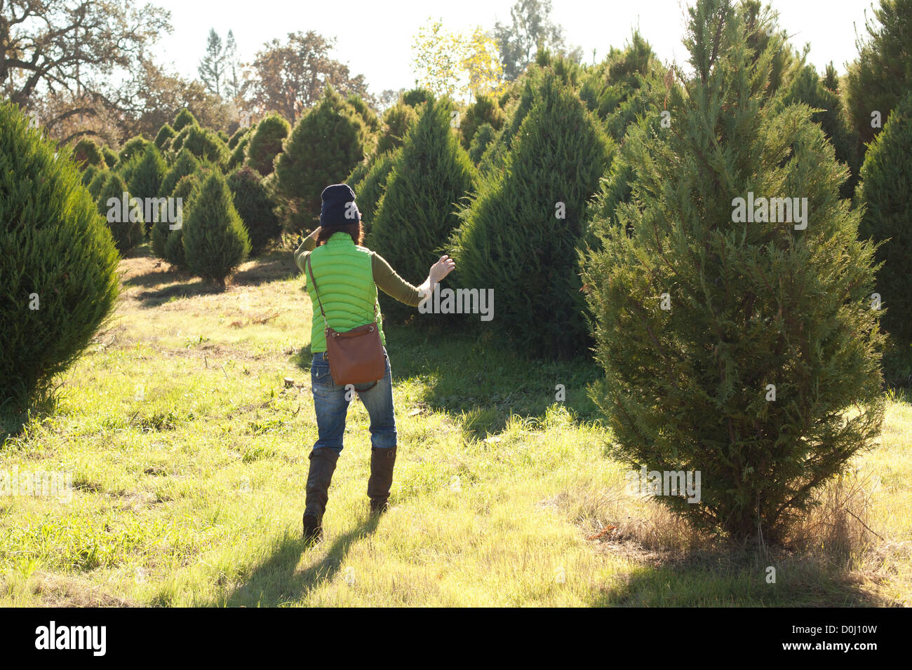 Christmas tree carry woman hi-res stock photography and images - Alamy