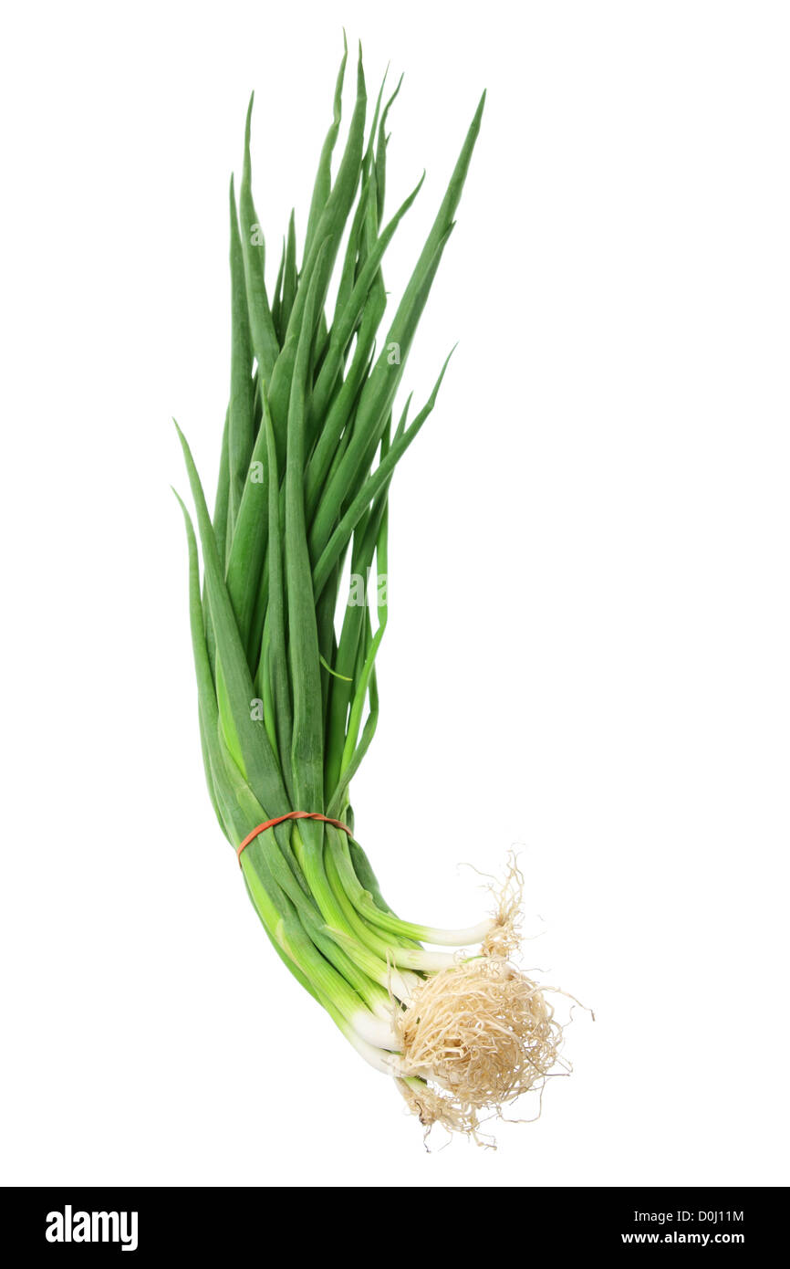 Shallots and scallions hi-res stock photography and images - Alamy